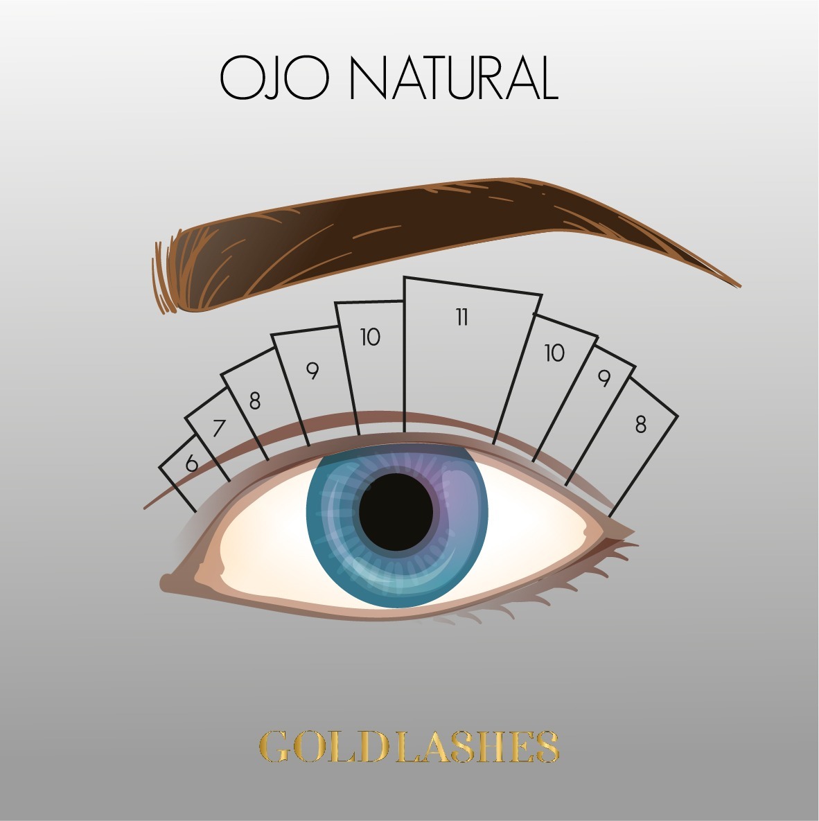 LECCION 4.5 DISEÑO NATURAL – Gold academy